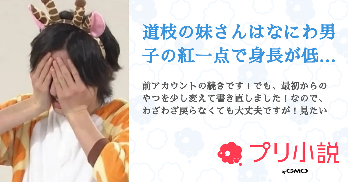 道枝の妹さんはなにわ男子の紅一点で身長が低い 全11話 【連載中】（道にある枝さんはきんぴらごぼうとドローンが好きさんの夢小説